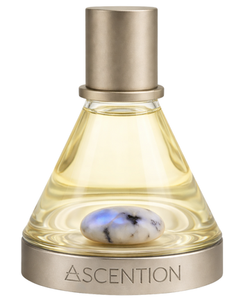 Visit Ascention Parfums to Learn About Our Rewards Program. – Ascention ...